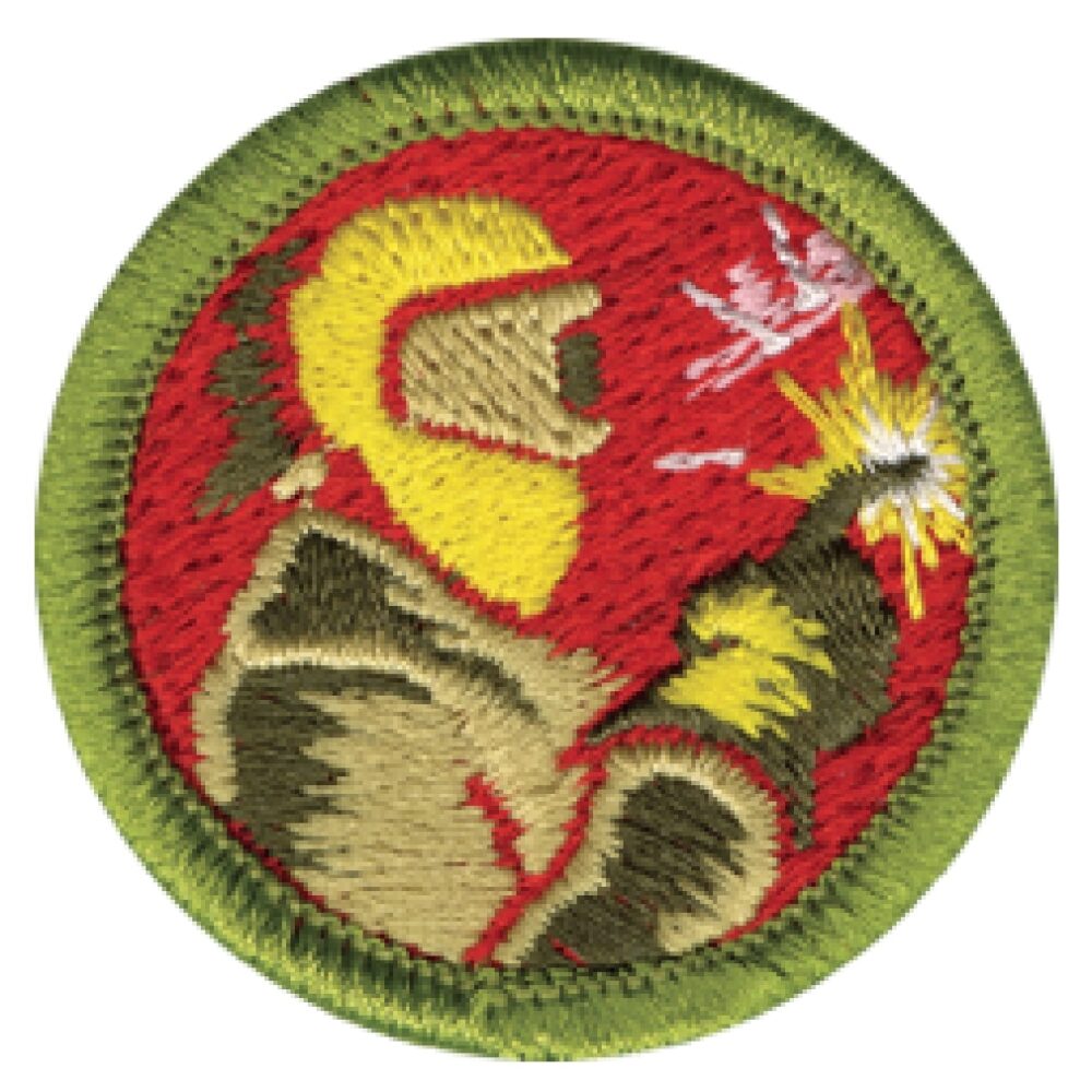 Merit Badge Courses – Merit Badge Academy