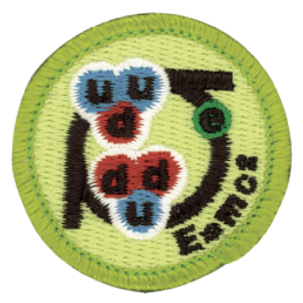 Merit Badge Courses – Merit Badge Academy